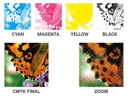 Spot Colour Vs Process Colour What s Difference And When To Use 