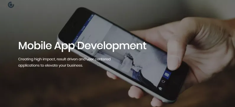 Top Hybrid App Development Companies in India, USA for Startups and ...