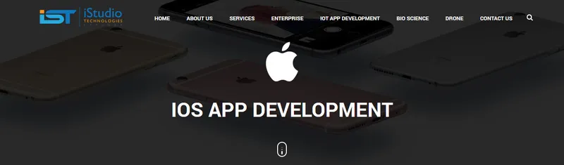 Top 10 iPhone/iOS App Development Companies in Chennai - 2019 [Recently ...