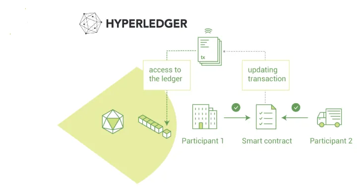 Hyperledger vs. Ethereum: Which Will Benefit Your Business? | YourStory