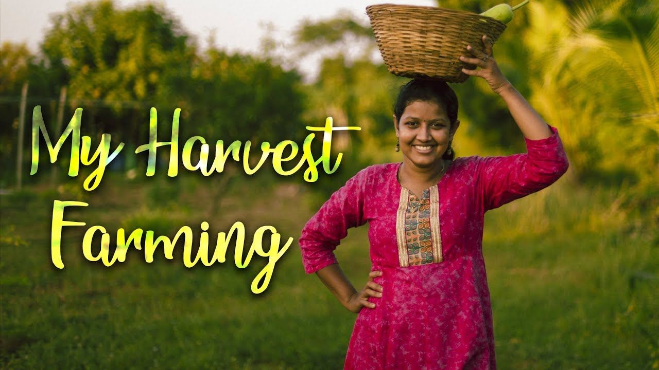 சென்னை அக்ரி ஸ்டார்ட் அப், ‘மைஹார்வெஸ்ட்’ Acumen Angels நிதி பெற்றது ...