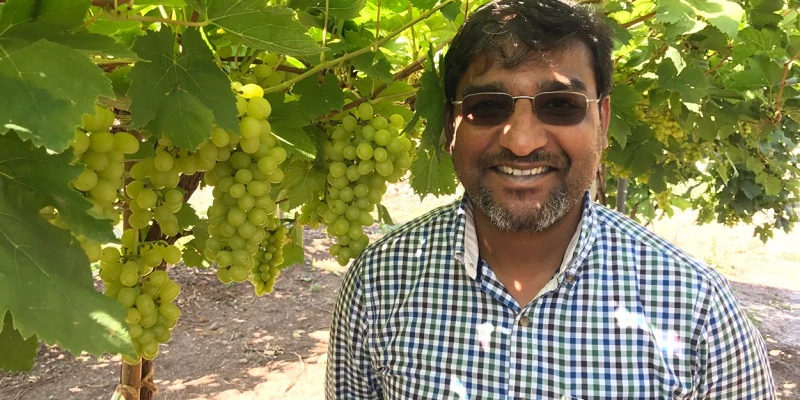 நெல்லை நிலத்தில் விளைச்சலை அதிகரிக்கும் 'Farm Again' - கோடிகளில் ...