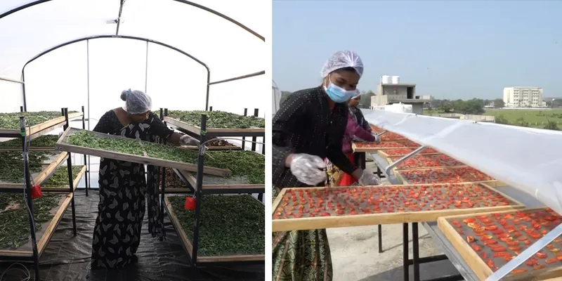 How Raheja Solar is Turning Food Waste into Farmer Profit | YourStory