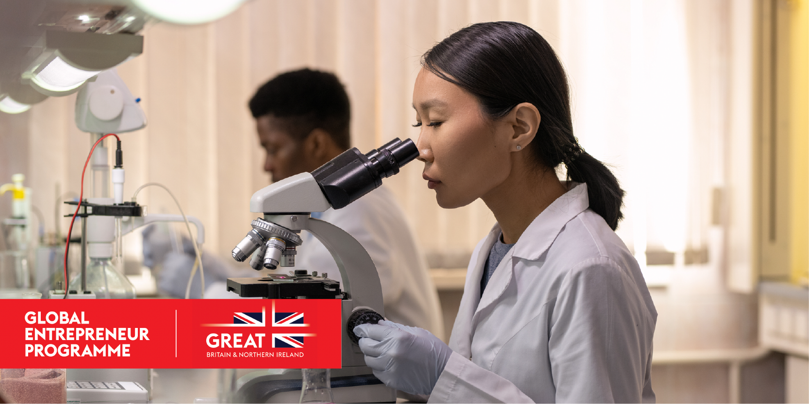 This government programme could help your business scale up in the UK ...