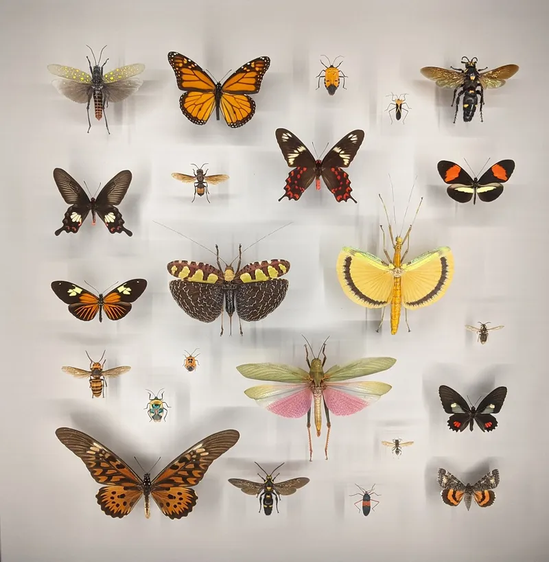 Immersion, interaction, inspiration—how the unique Montreal Insectarium ...