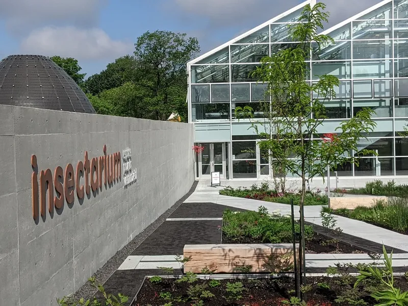 Immersion, interaction, inspiration—how the unique Montreal Insectarium ...