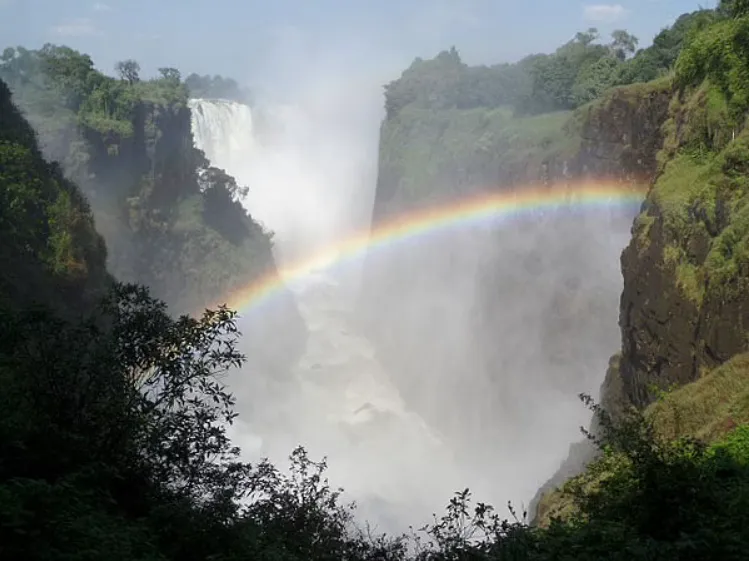 Conversations about conservation – 40 quotes and proverbs on World ...