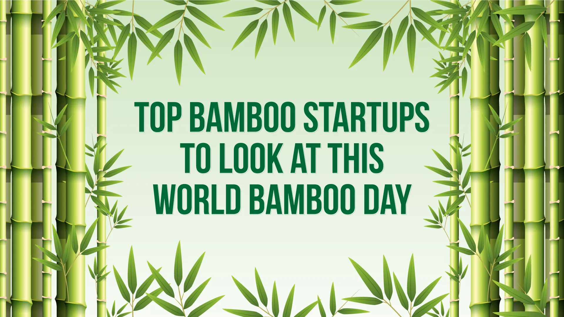 Celebrating world bamboo day: Discover top startups promoting ...