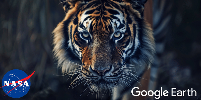 NASA and Google Earth Join Forces to Save Tigers: Inside TCL 3.0 | YourStory