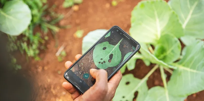 Here's how this agritech startup is using AI to help farmers improve ...