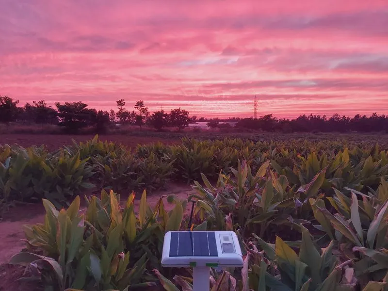 Farming on autopilot: Agritech startup Fasal uses IoT to help ...