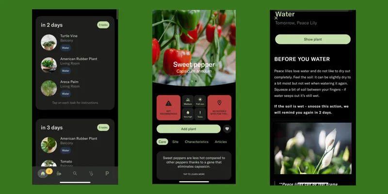 Plant Parenthood: How Planta app helps your plant babies survive and ...