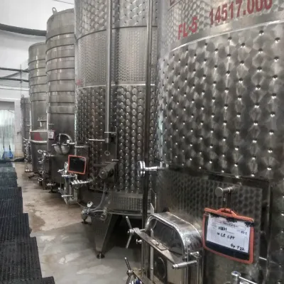 From Nandi Hills to India's second largest wine company, here's the ...