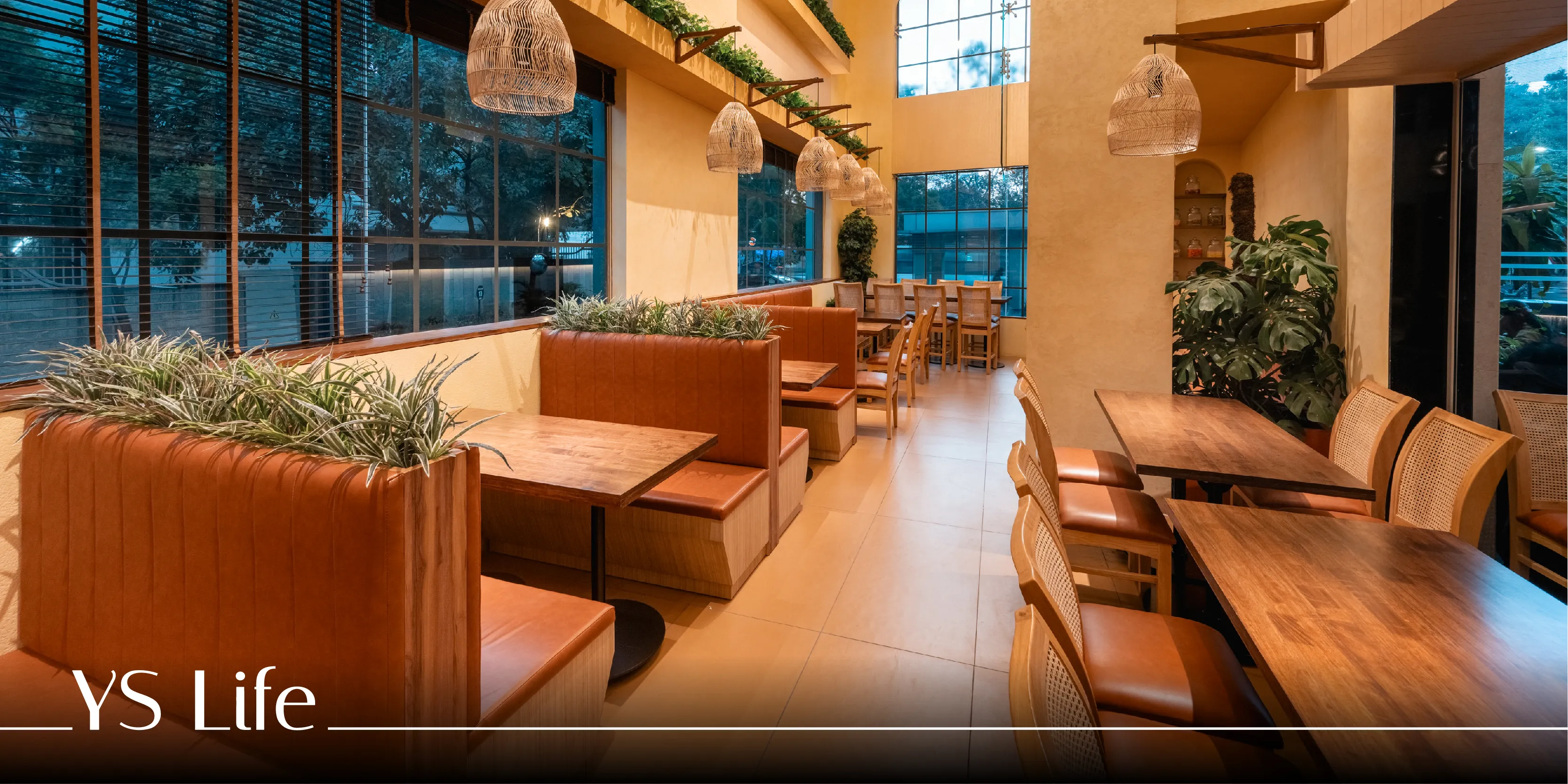 Moglu’s refreshing take on vegetarian food is an inclusive feast for all