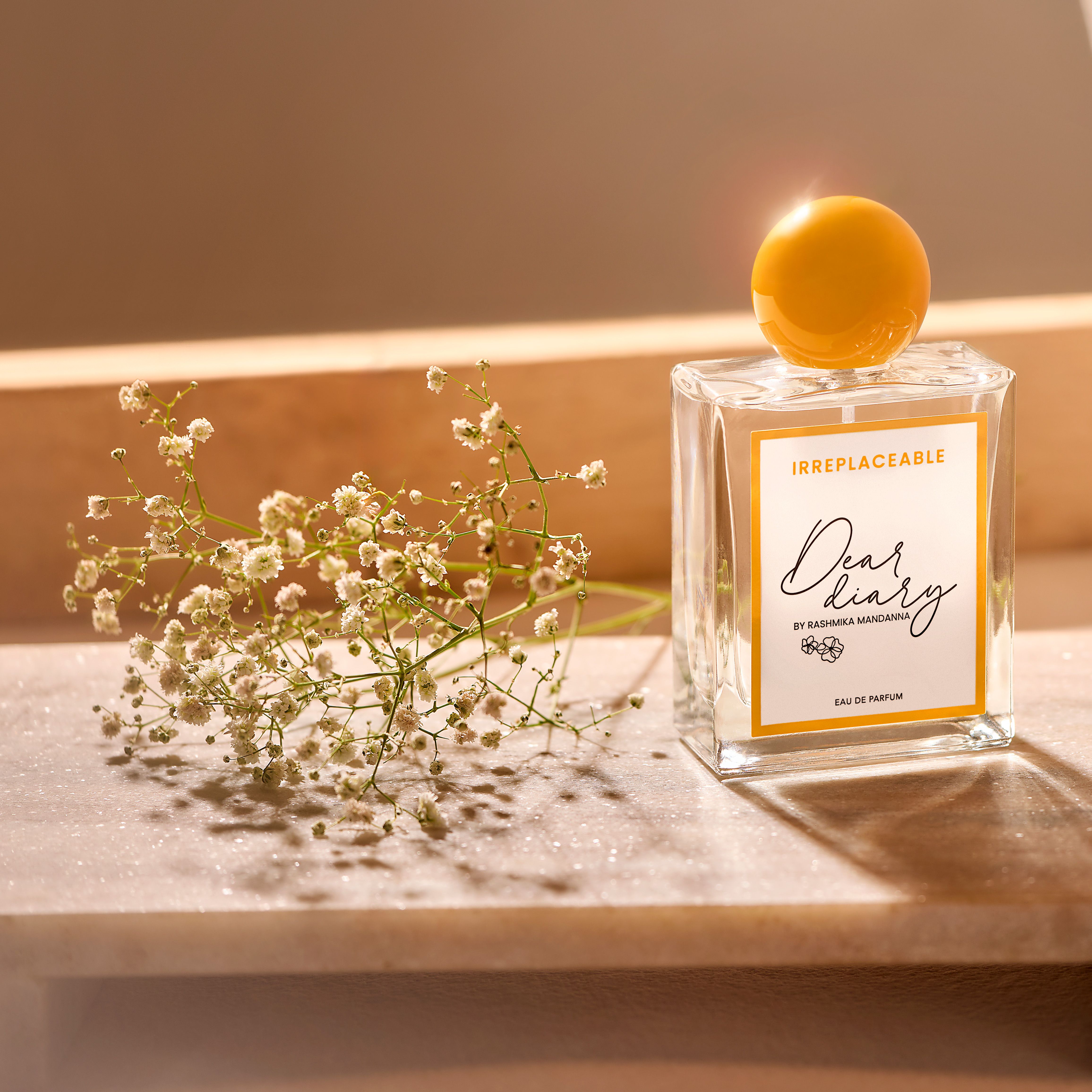 Dear Diary is a celebration of our land and stories: Rashmika Mandanna ...