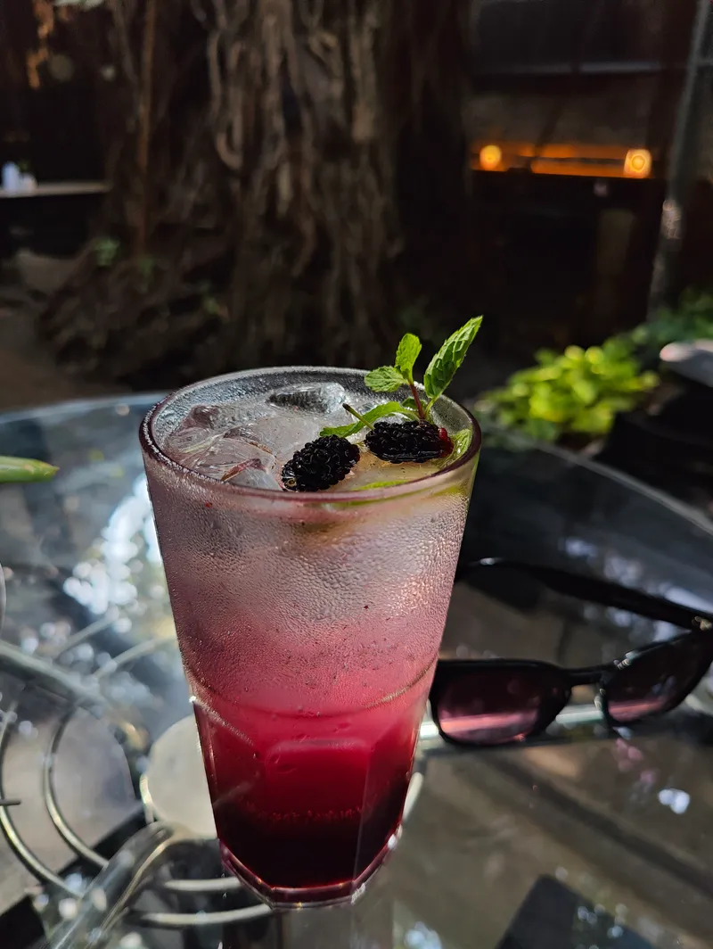 Mulberry kofta to mul-jeera: Chefs are getting creative with the berry ...