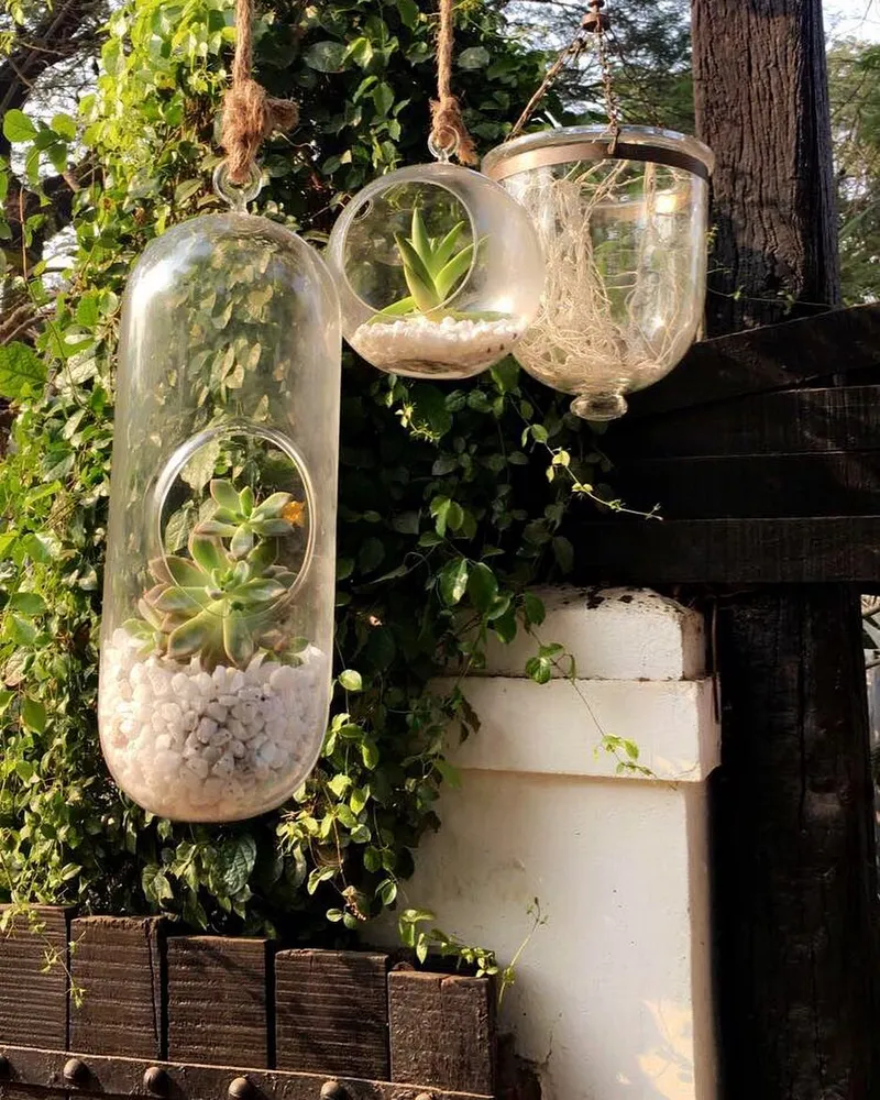 Creating your own green patch with terrariums | YourStory