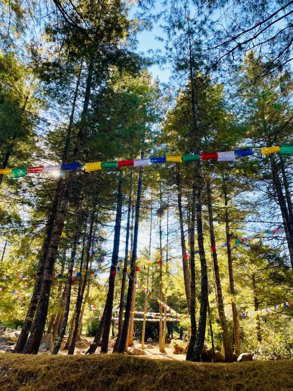Finding peace in Paro, the gateway to the Land of the Thunder Dragon ...