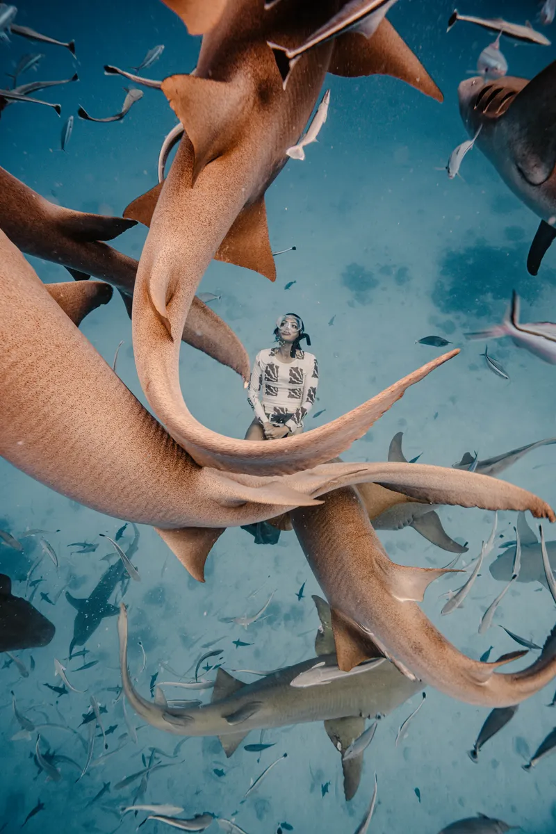 Deep dive: Dr Zeba Moopen on swimming with the sharks, mental health ...