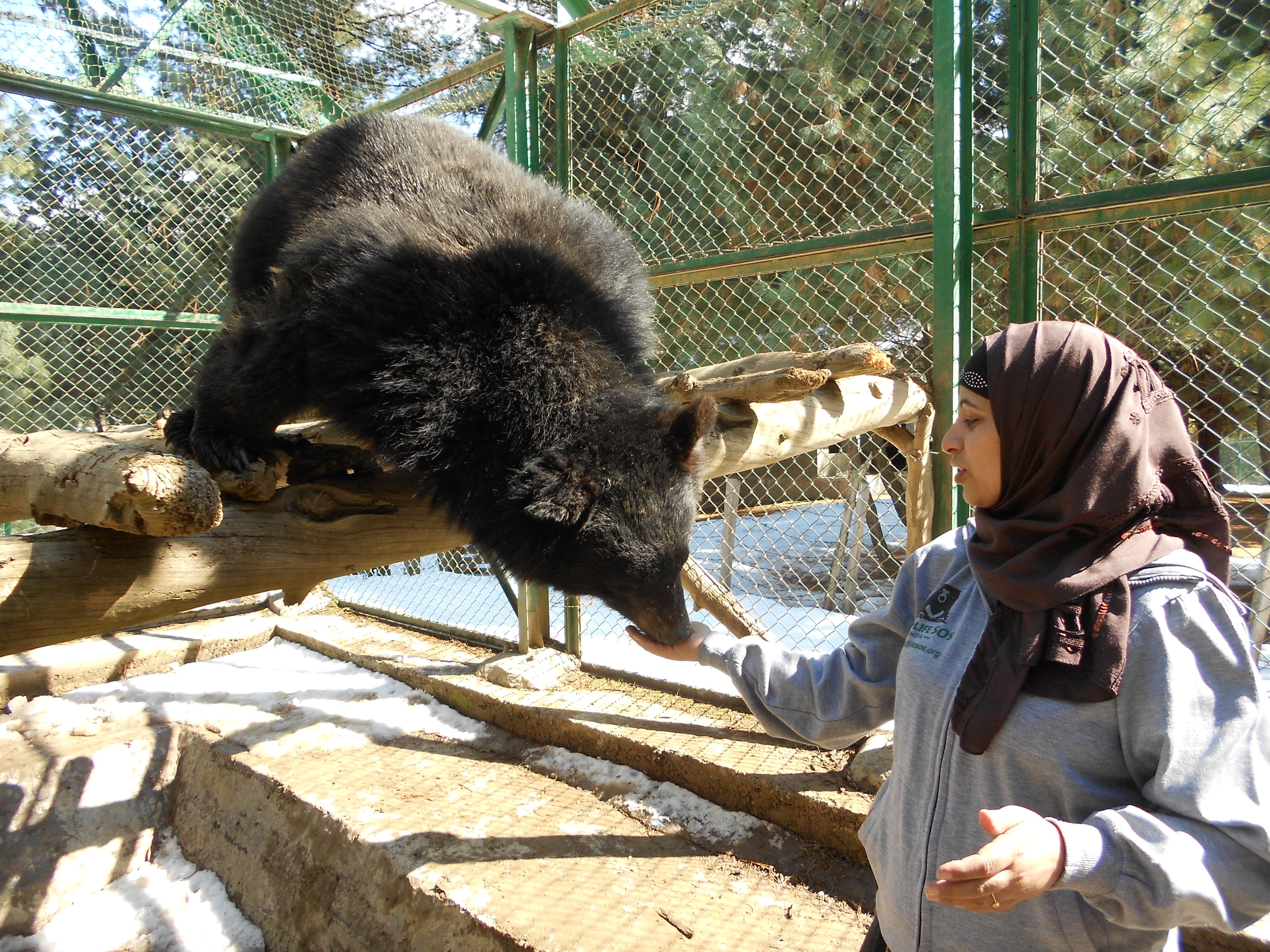 Aaliya Mir on a mission to rescue wild animals and mitigate human ...