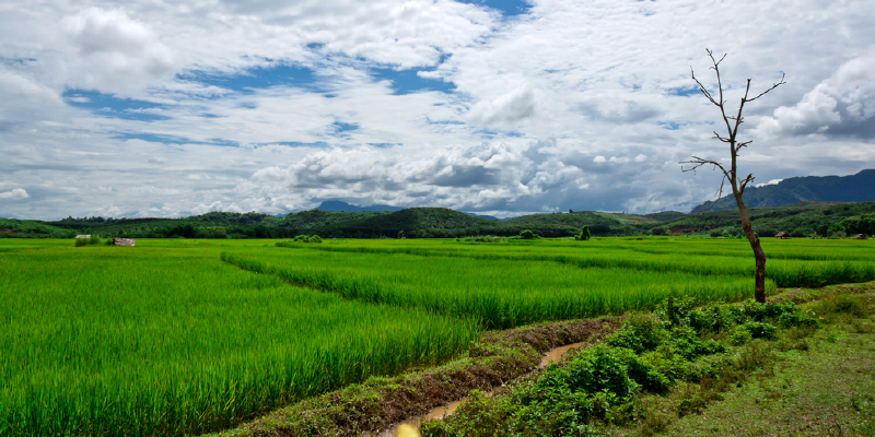 On World Environment Day, meet the people and organisations working ...