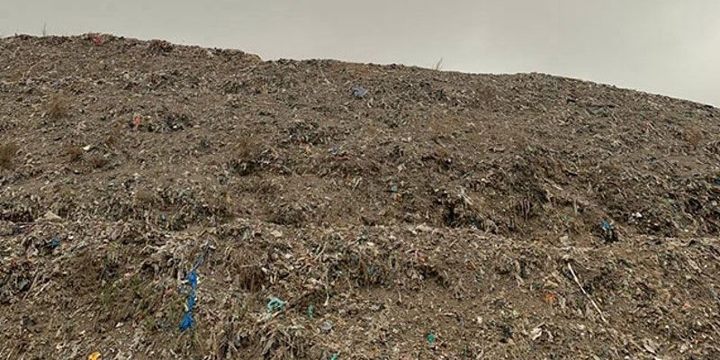 This infamous landfill in Delhi is on its way to becoming an eco park