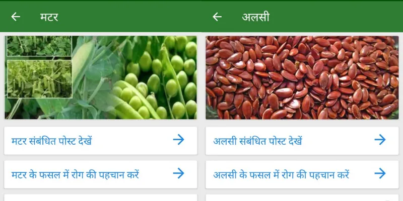 Gurugram startup The Krishi is touching the lives of lakhs of farmers ...