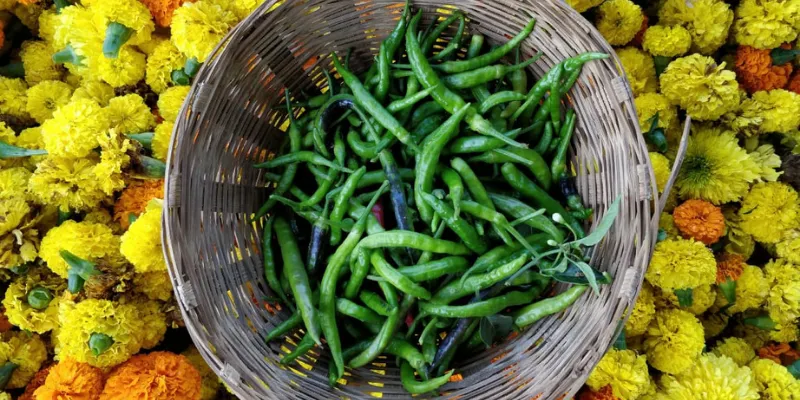 This organisation is helping farmers in Bihar boost their income ...