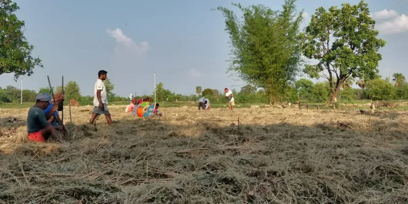 This organisation is helping farmers in Bihar boost their income ...