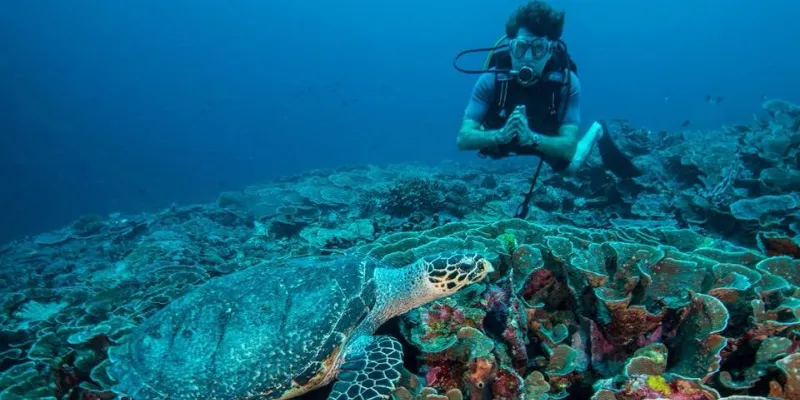 Craig Leeson’s ‘A Plastic Ocean’ shows the devastating effects of ...