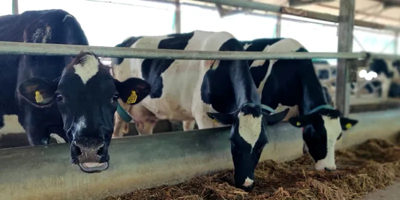 How this automated dairy farm near Kolkata is incorporating environment ...