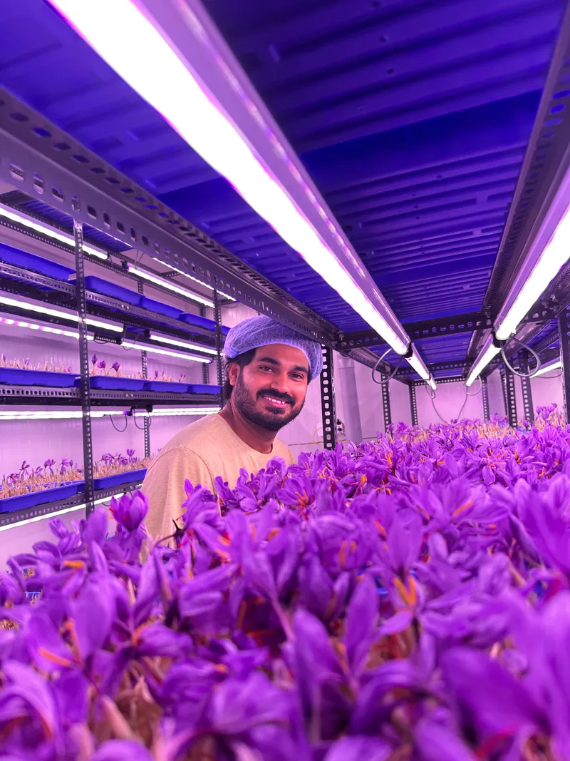 From blueprints to blooms: How a Kerala engineer is cultivating saffron ...