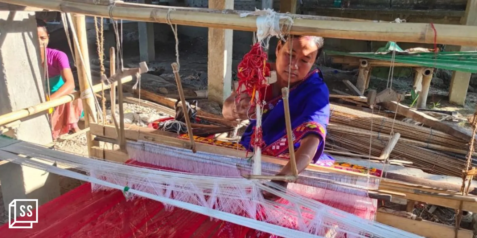 An elephant on the loom in river island Majuli