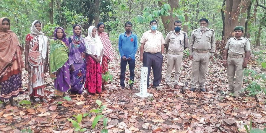 These women are guarding this Sambalpur forest reserve against timber ...