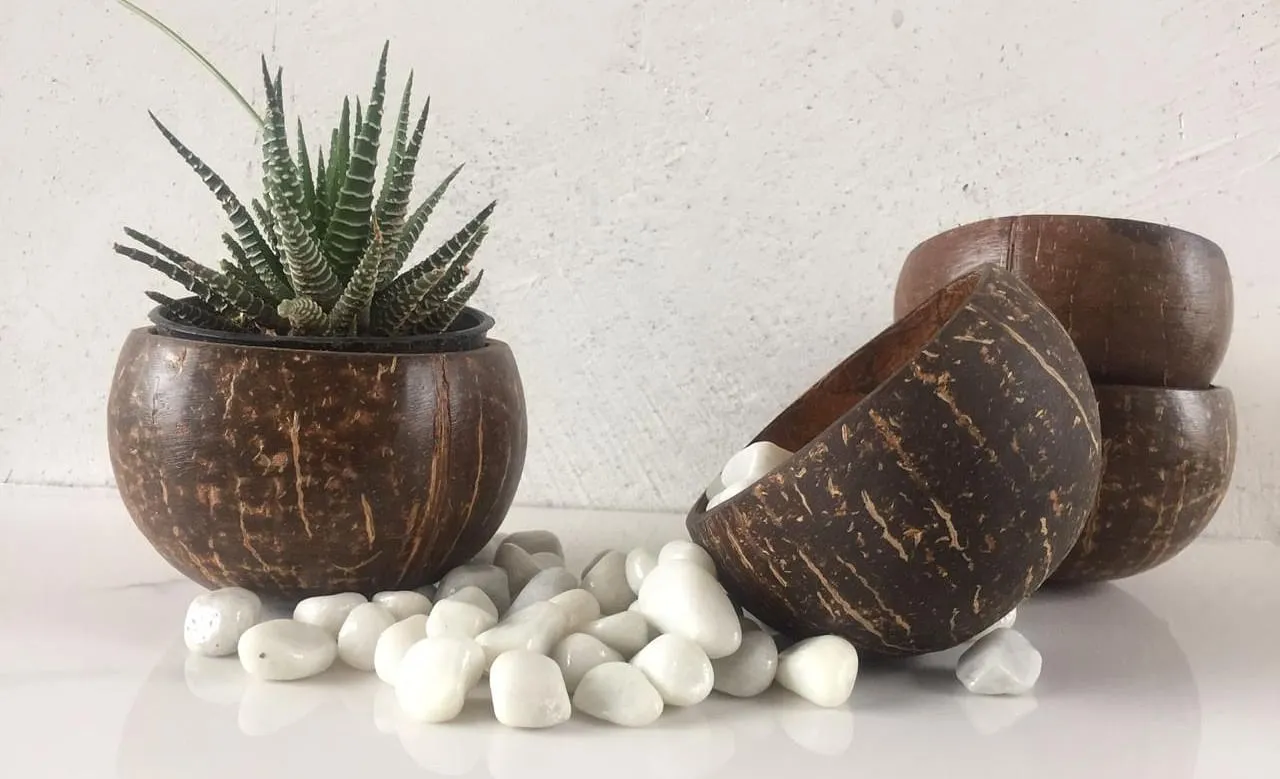 How this startup is upcycling discarded coconut shells into trendy ...