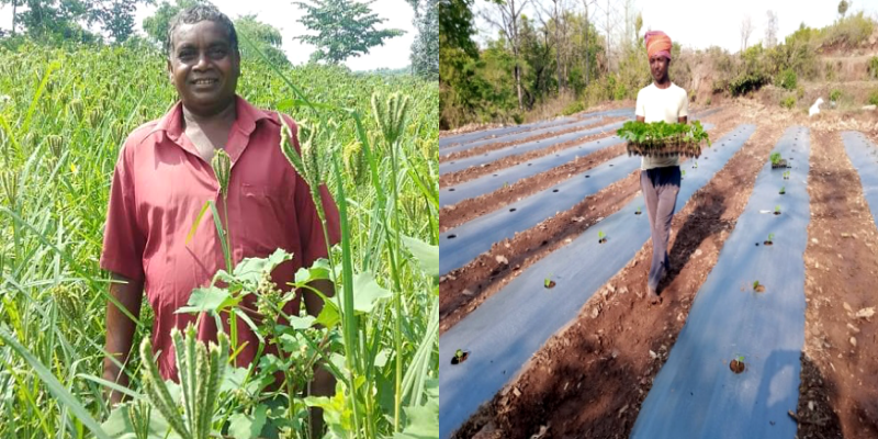 How some farmers navigated the rough coronavirus seas during the ...