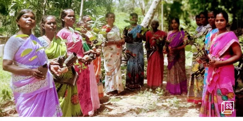 What works for healthy sustainable living?; Dalit women reaping fruits ...