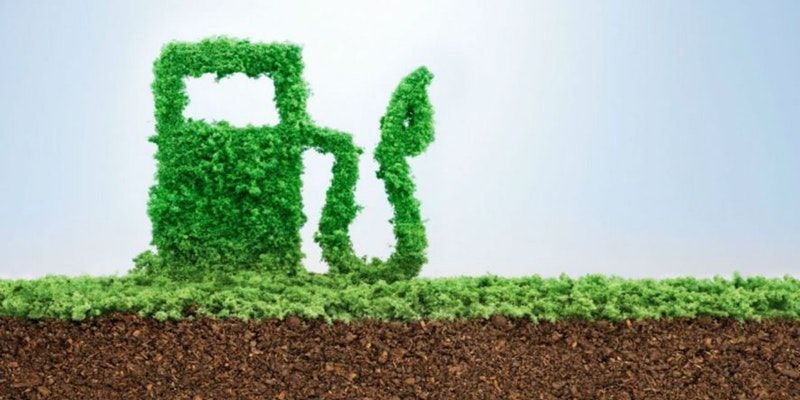 From paddy straw to compressed biogas for automobiles – how Indian Oil ...