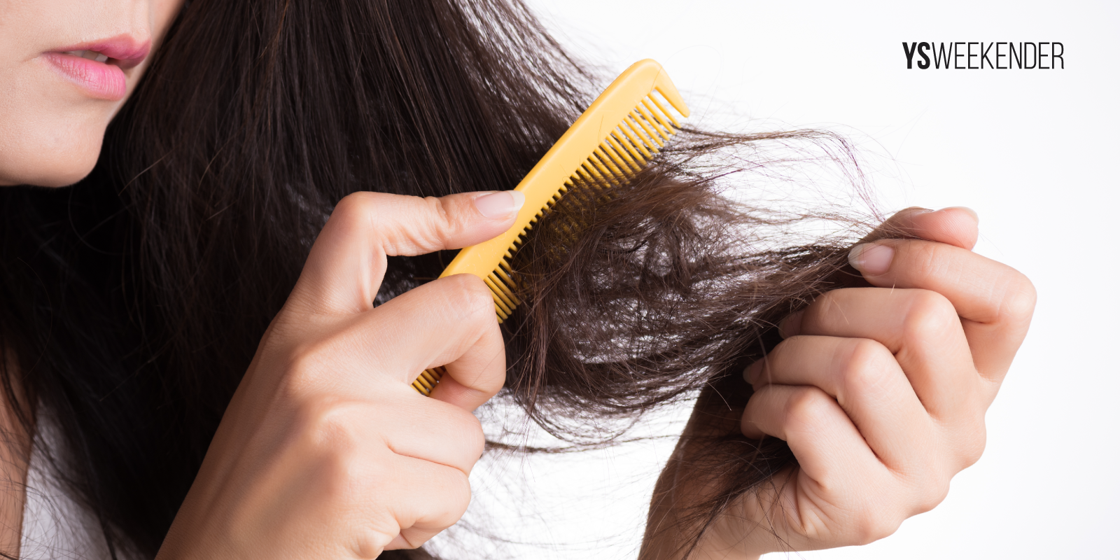 Hair fall: top 6 reasons for hair loss and how you can prevent it