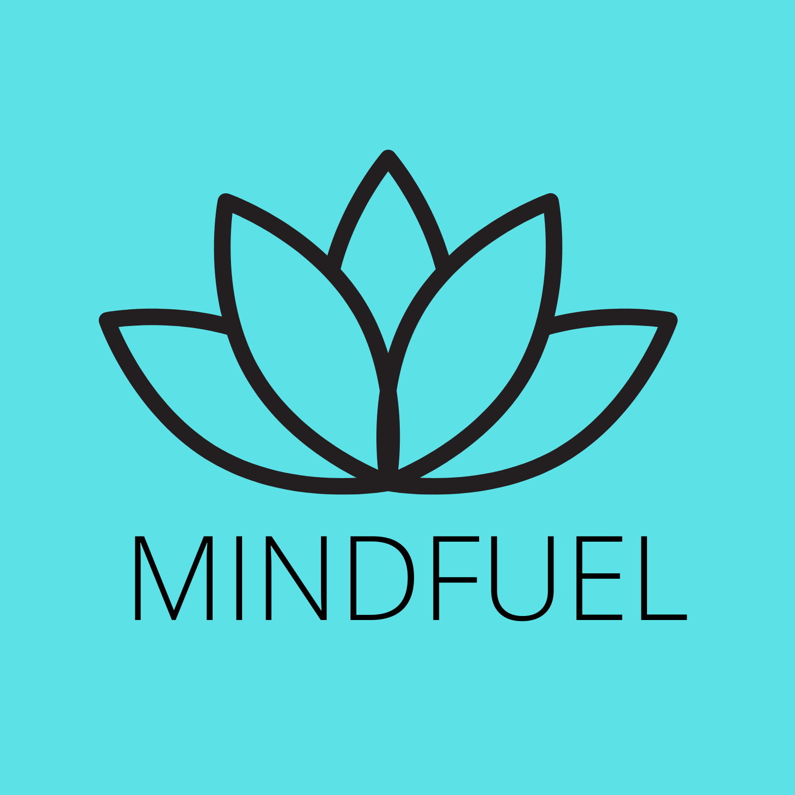 Mindfuel Healthcare Company Profile, information, investors, valuation ...