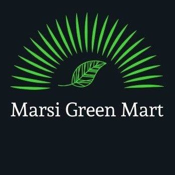 Marsi Green Mart Company Profile, information, investors, valuation ...