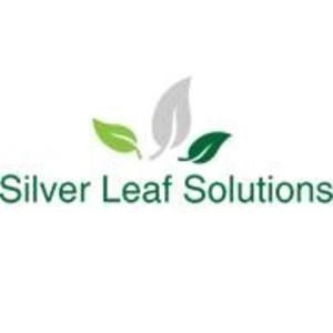 Silver Leaf Solutions Company Profile, information, investors, valuation & Funding