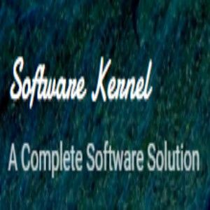 Software Kernel | YourStory