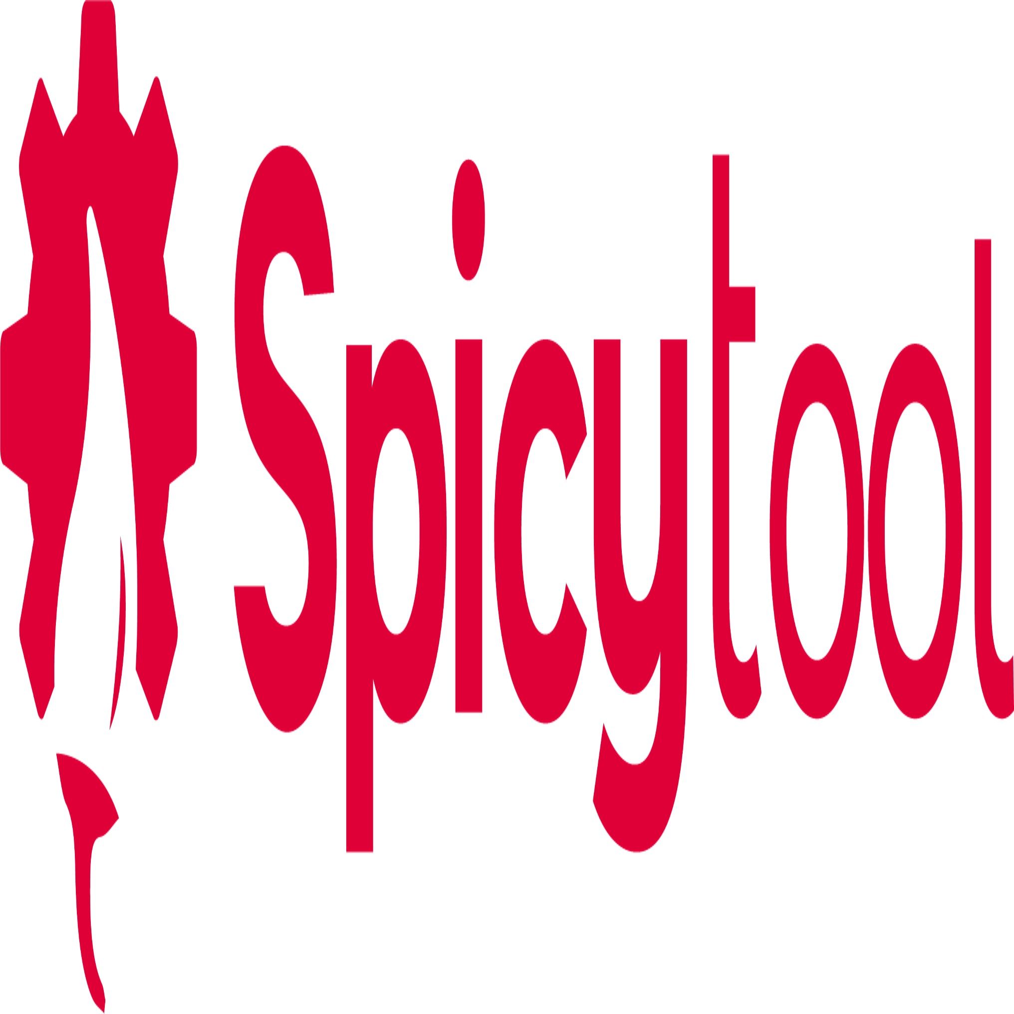 SpicyTool Company Profile, information, investors, valuation & Funding