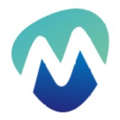 Manex India Company Profile, information, investors, valuation & Funding