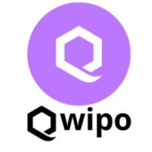 Qwipo Company Profile, information, investors, valuation & Funding
