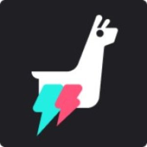 Blitzllama | YourStory