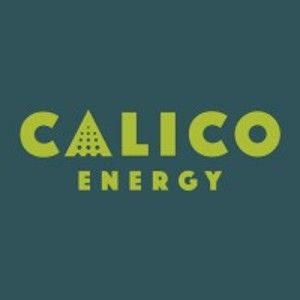 Calico Energy Company Profile Funding & Investors | YourStory