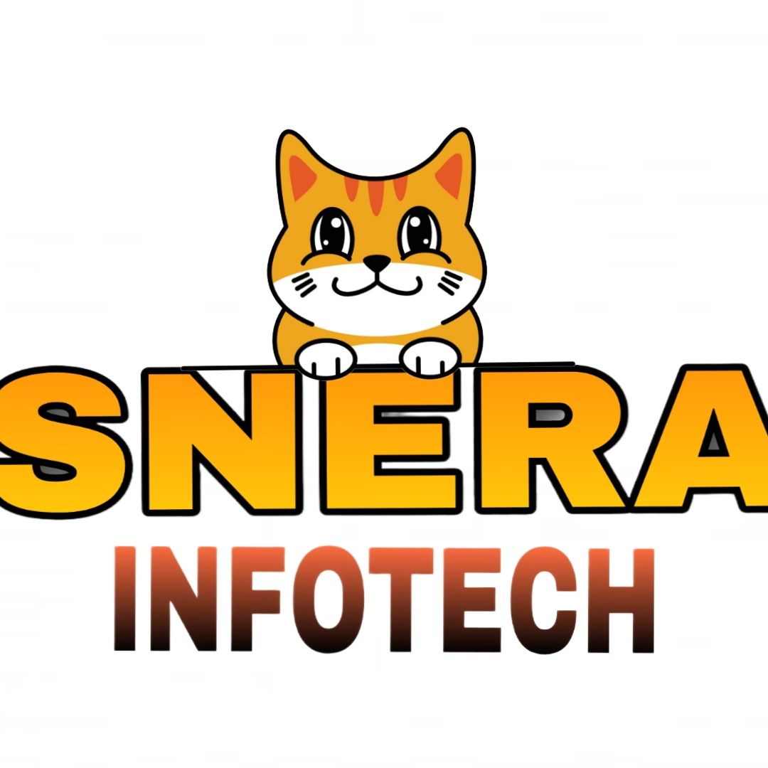 SNERA INFOTECH Company Profile, information, investors, valuation & Funding