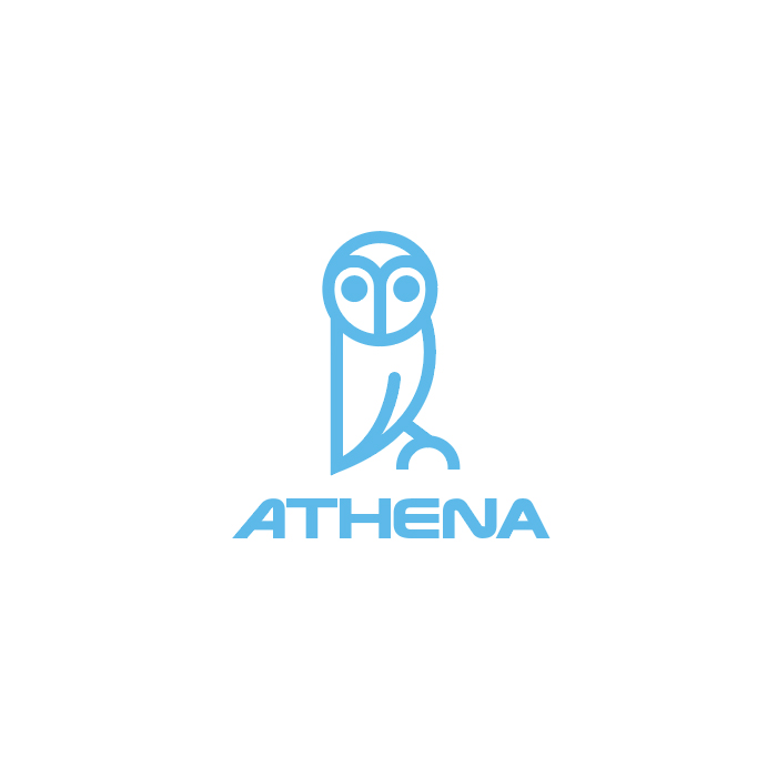 Athena Security Company Profile, information, investors, valuation ...